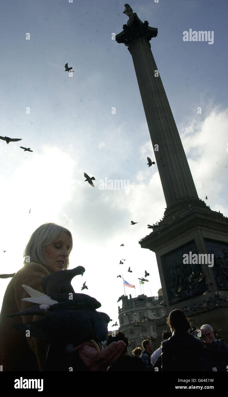 London landmark pigeons birds hi-res stock photography and images - Alamy