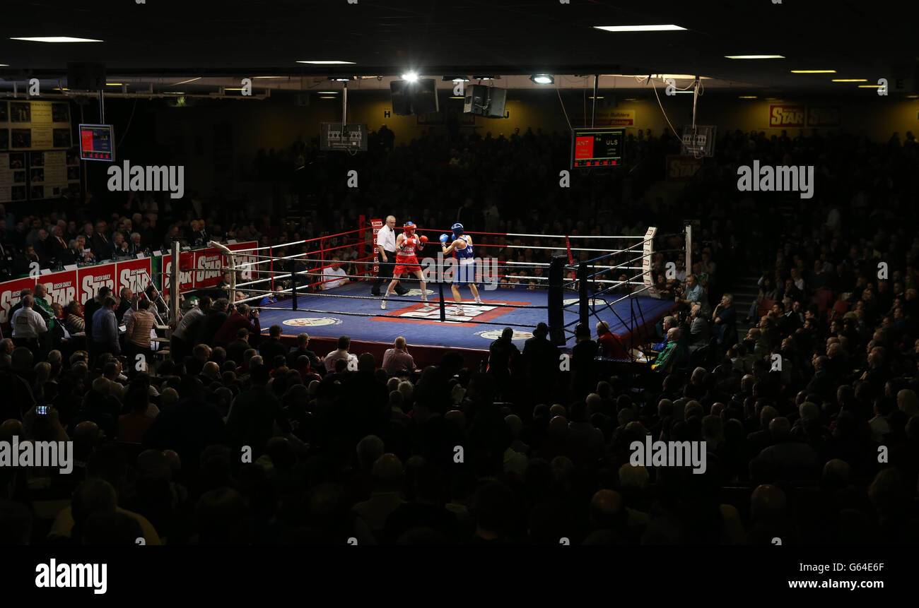 Boxing - Amateur Boxing Stock Stock Photo - Alamy