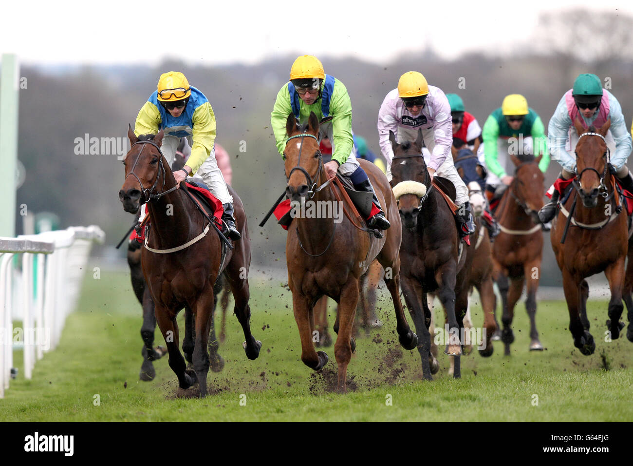 Horseracing races full length celebration hi-res stock photography and ...