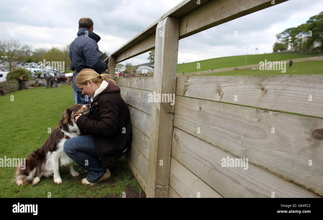 An owner and dog as the sheep dog sales goes on in the background in ...