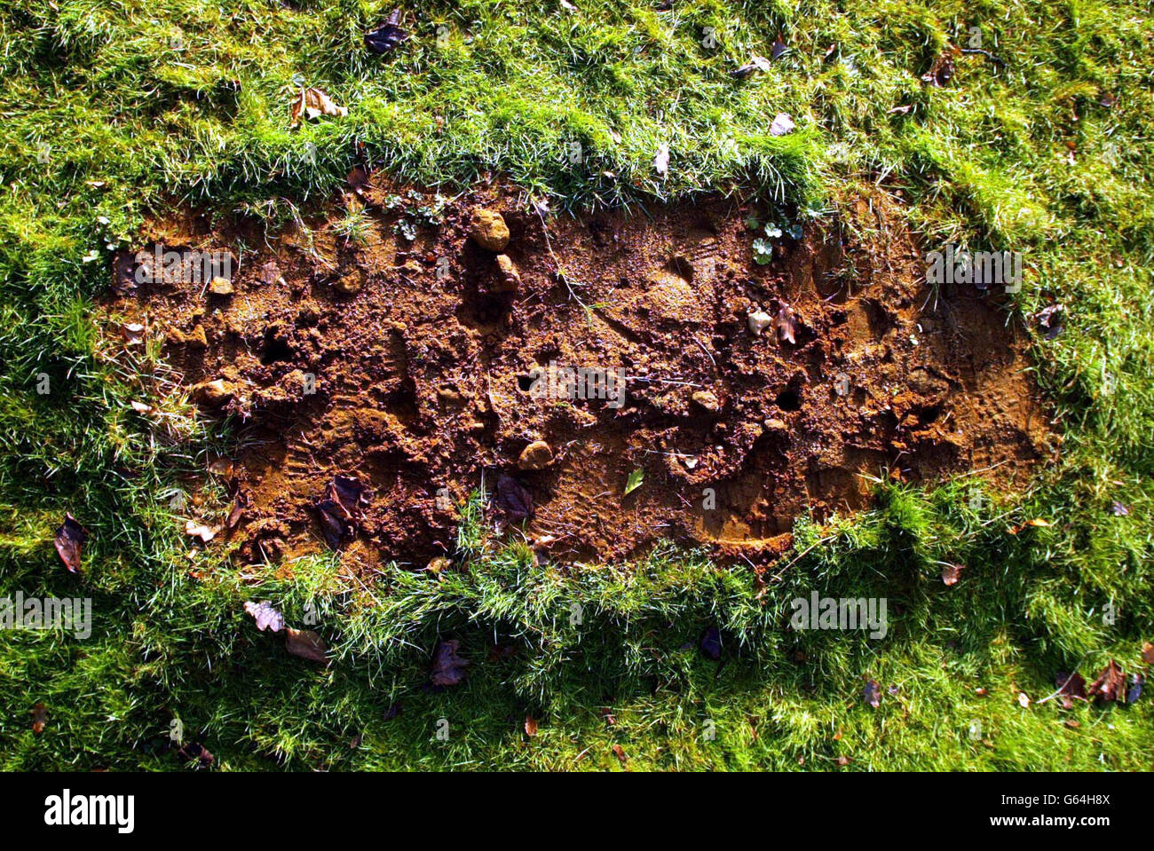 The grave which has appeared in the cemetery at a church in Gamlingay ...