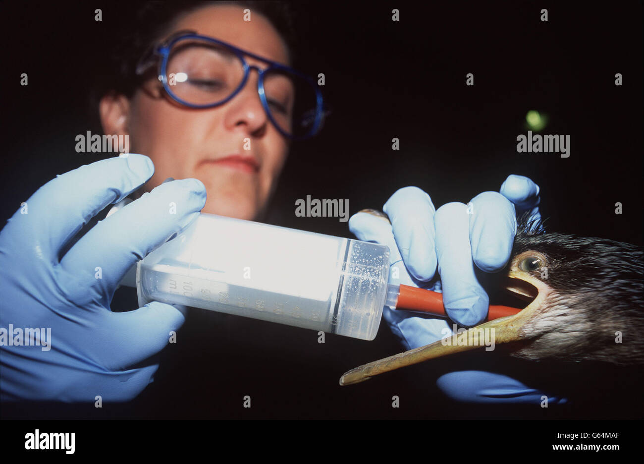 Prestige Oil Tanker Disaster Stock Photo - Alamy