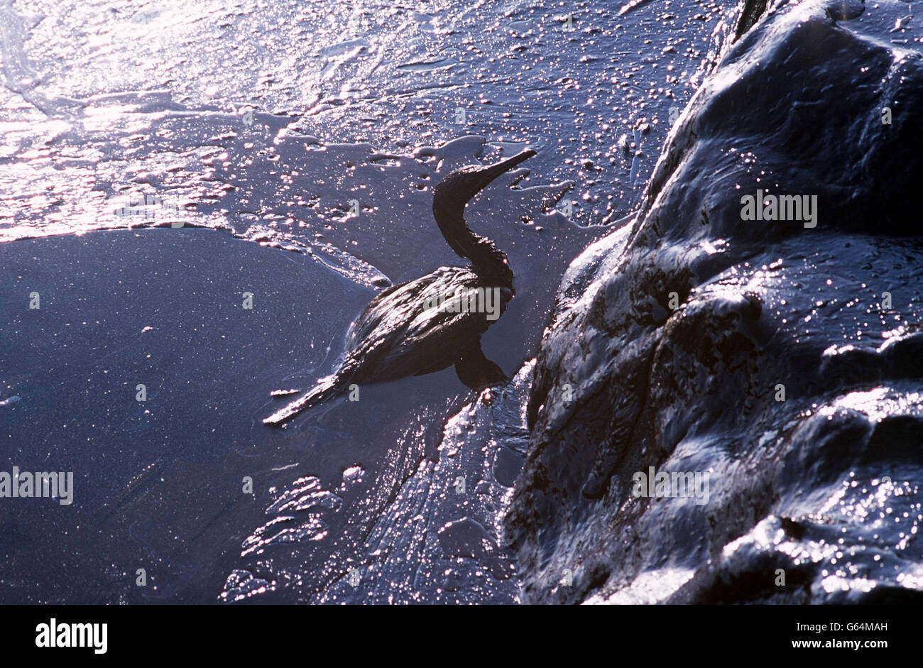 Prestige oil disaster hi-res stock photography and images - Alamy