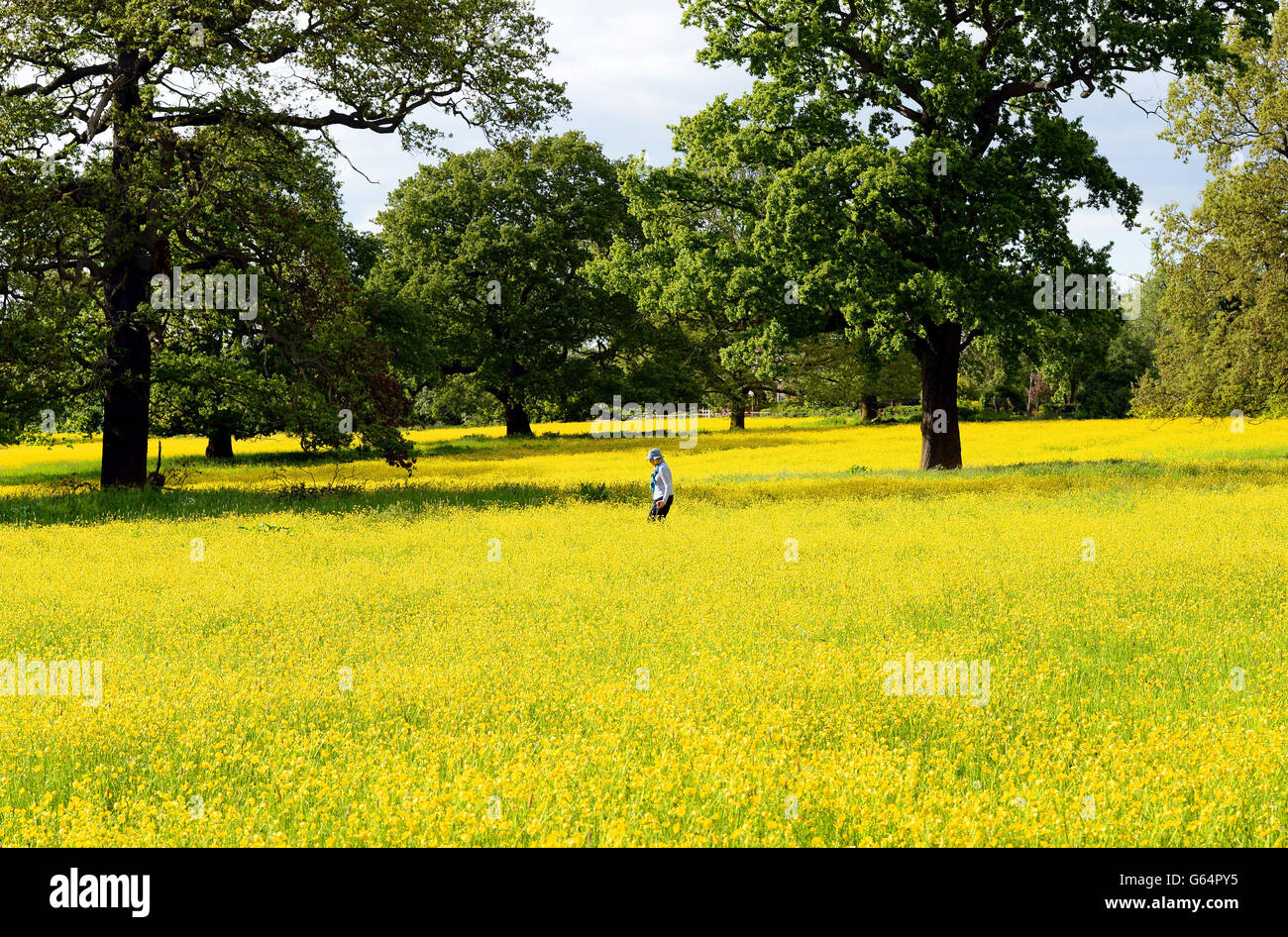 Summer weather June 2 Stock Photo - Alamy