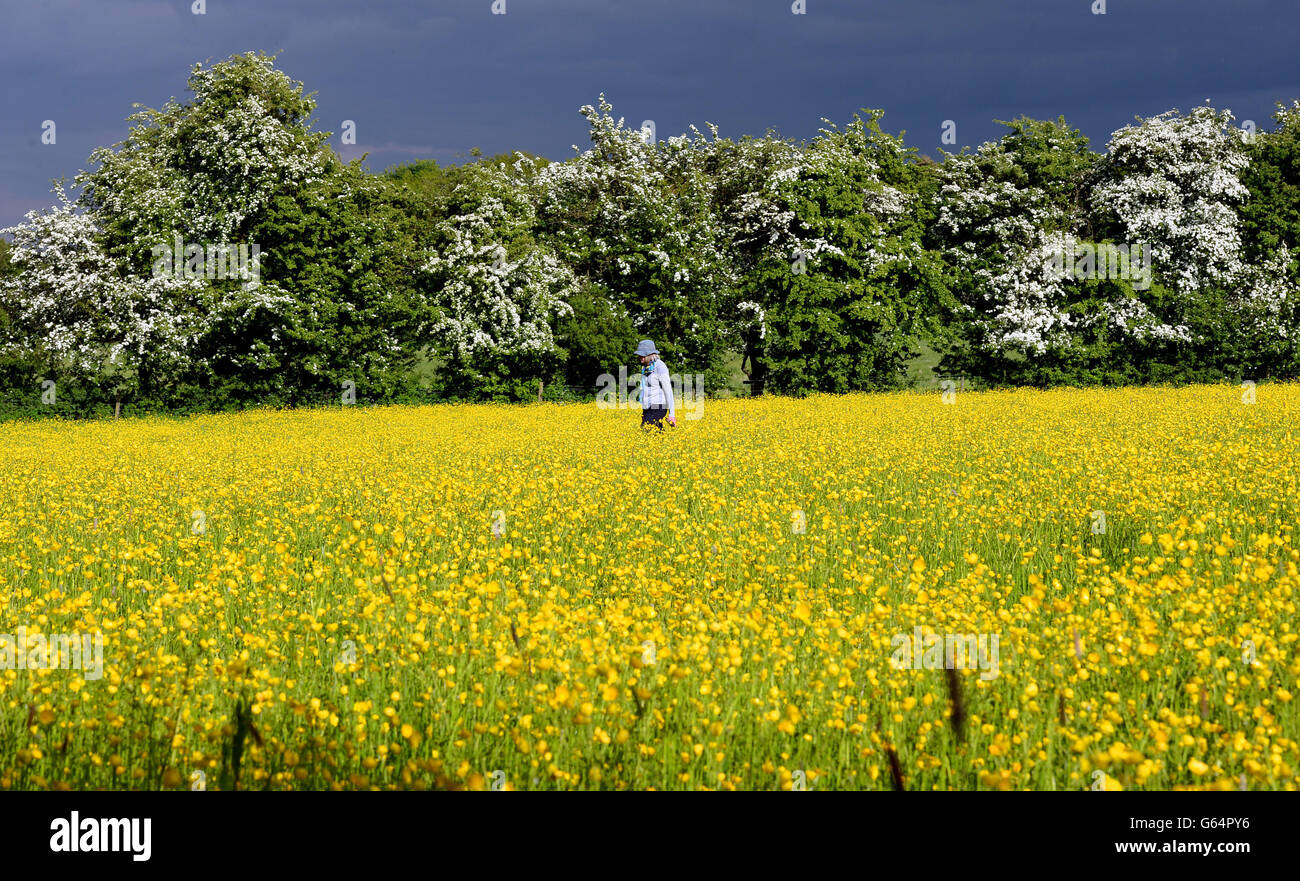 Summer weather June 2 Stock Photo - Alamy