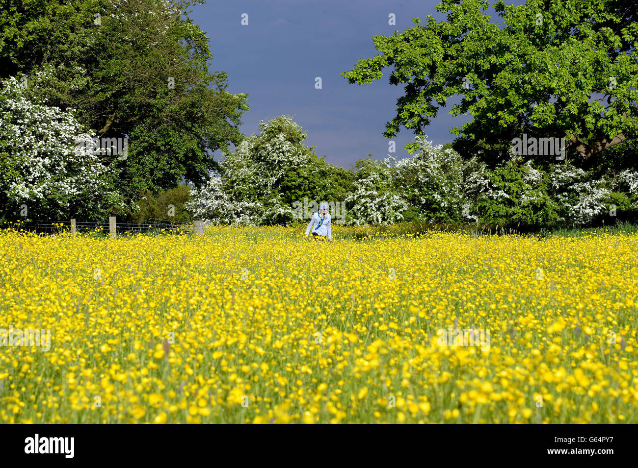 Summer weather June 2 Stock Photo - Alamy