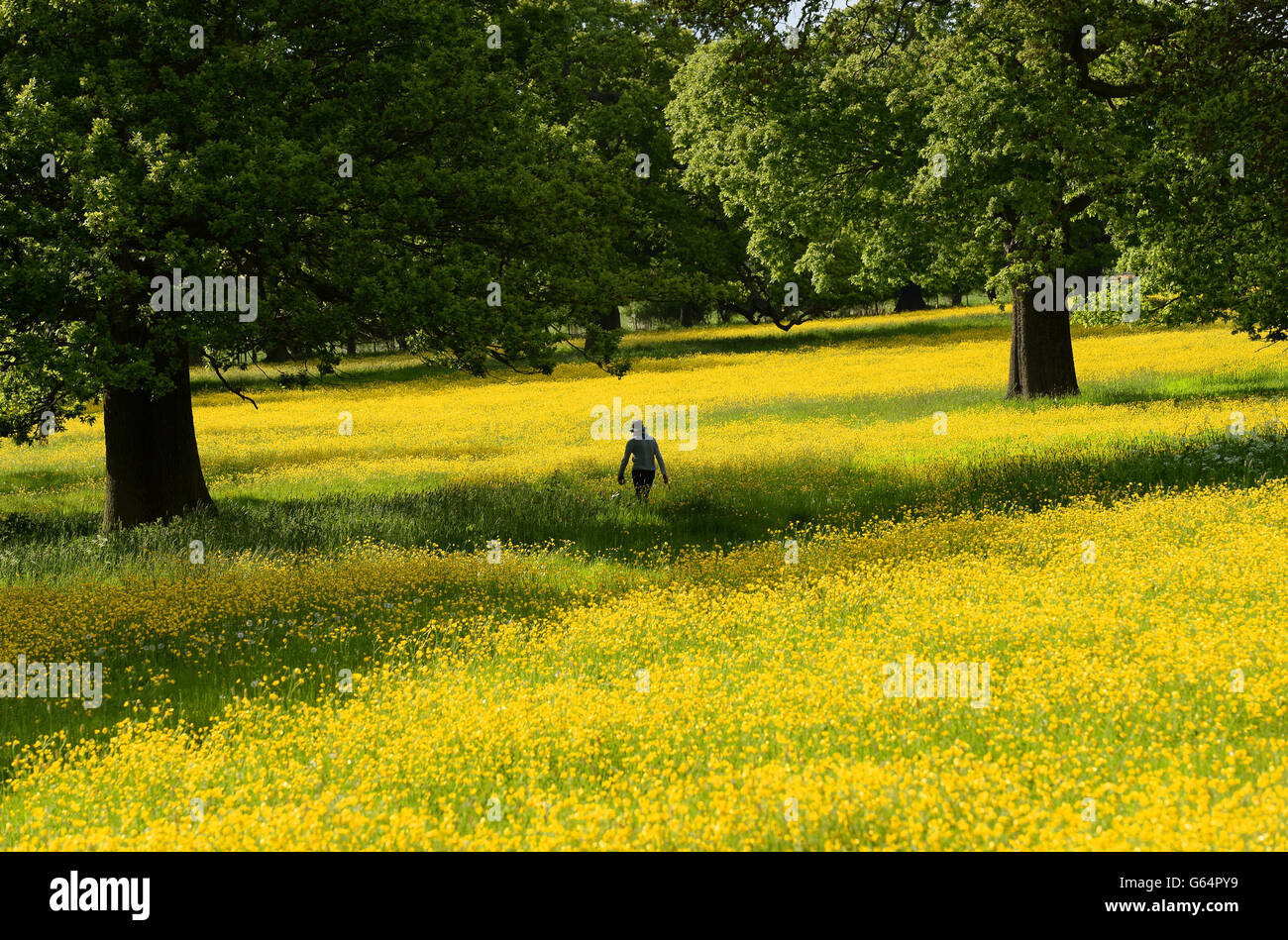 Summer weather June 2 Stock Photo - Alamy