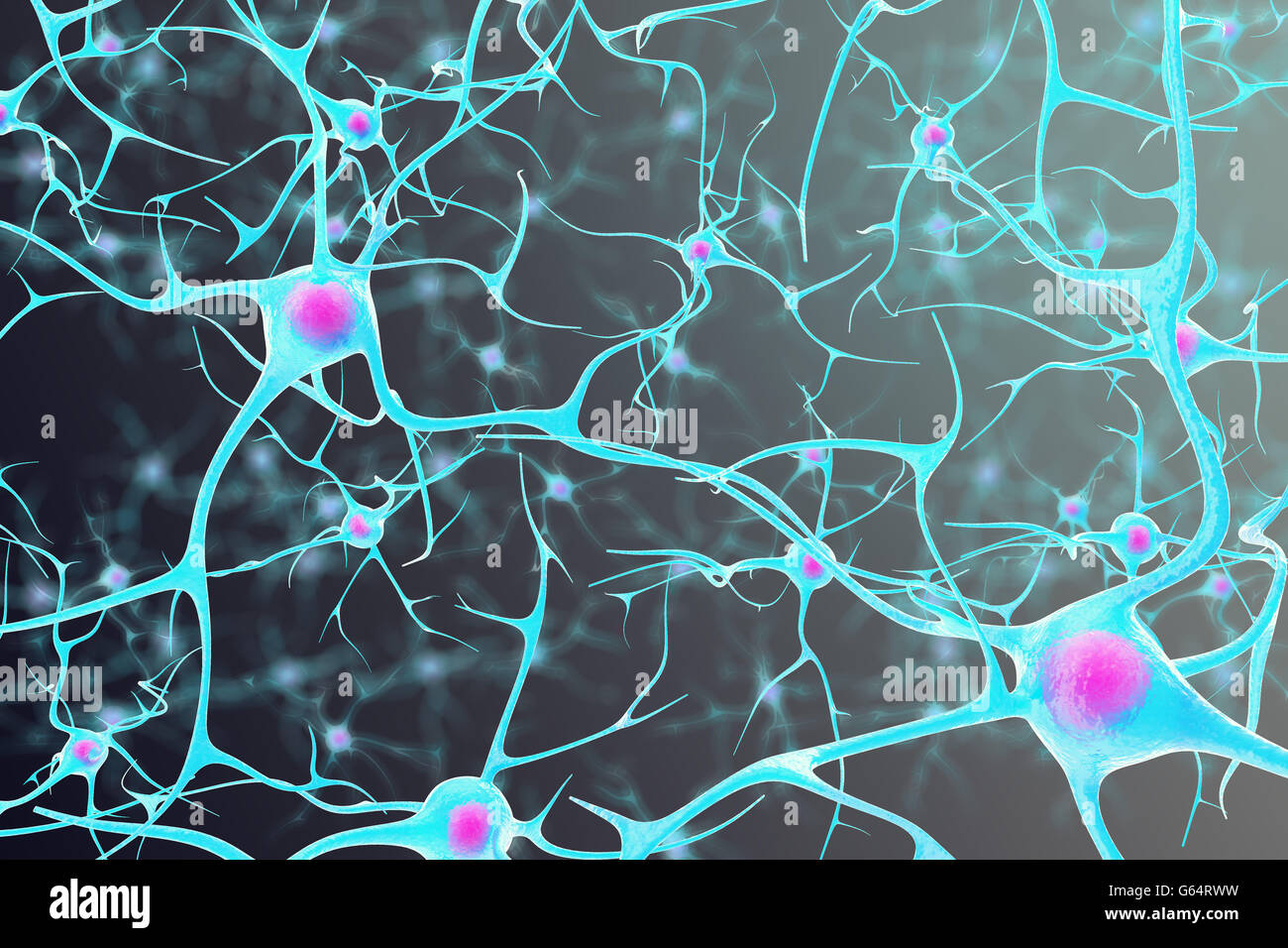 Neurons in the brain with a nucleus inside on black background. 3d ...