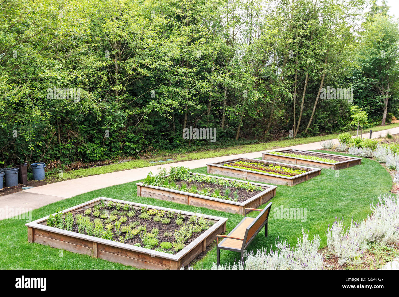 Herb and vegetable garden which supplies Cedarbrook Lodge's upscale ...