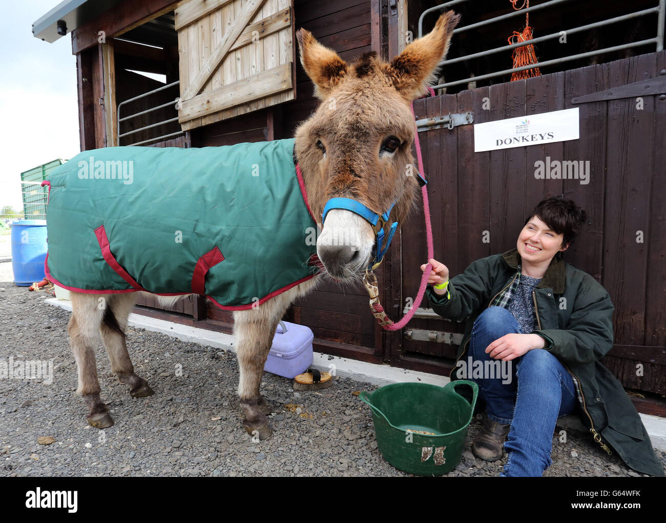 Ashley Brown from Saintfield in Co Down with her Donkey, Lady on the ...