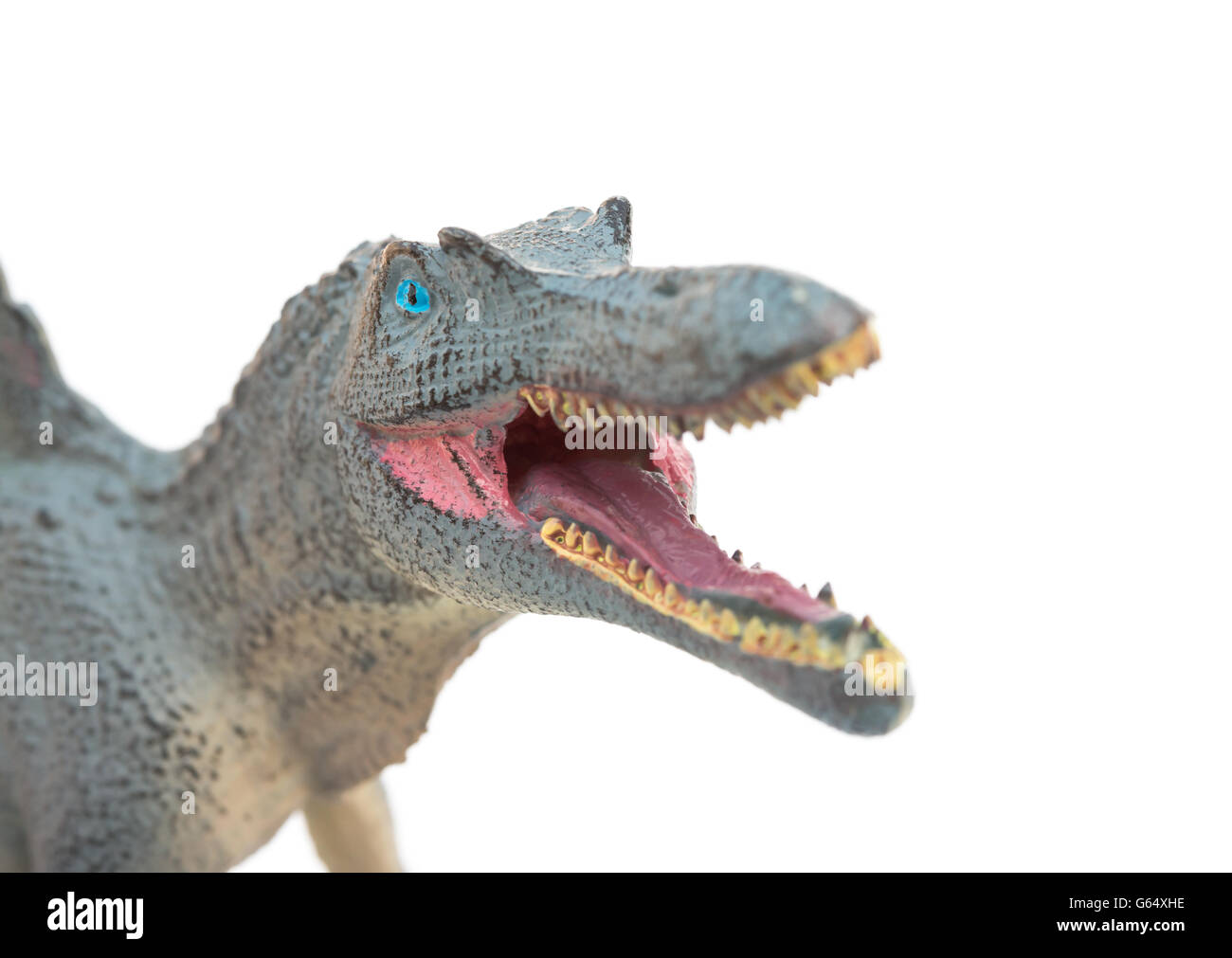 close up of grey spinosaurus toys head on a white background Stock ...
