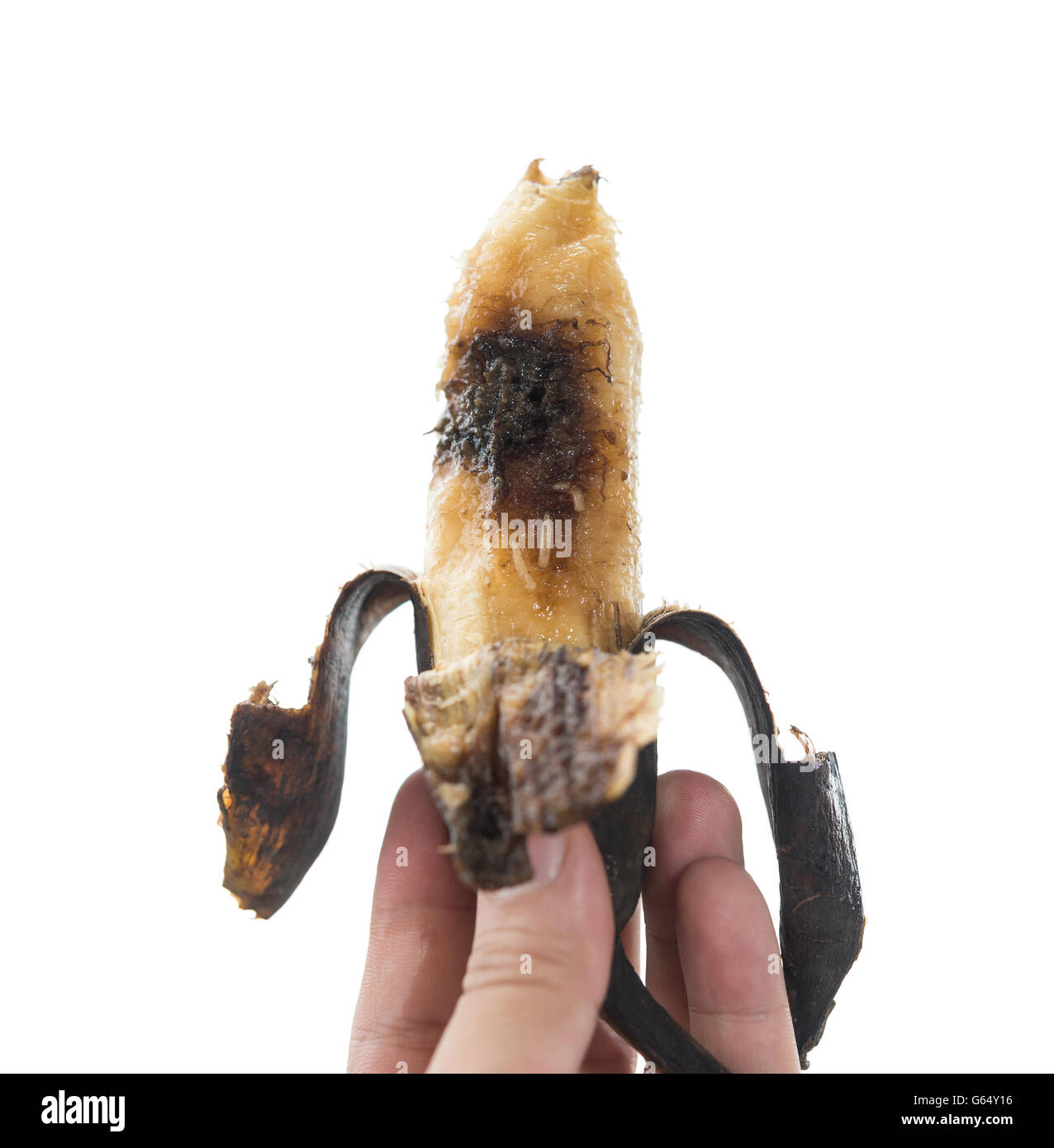 Smelly Worm High Resolution Stock Photography and Images - Alamy