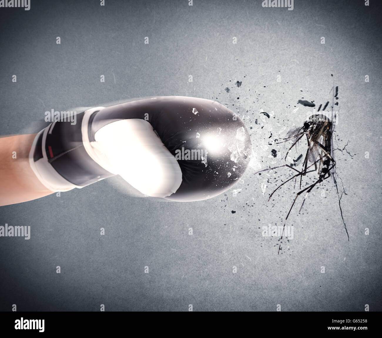 Mosquito danger hi-res stock photography and images - Alamy