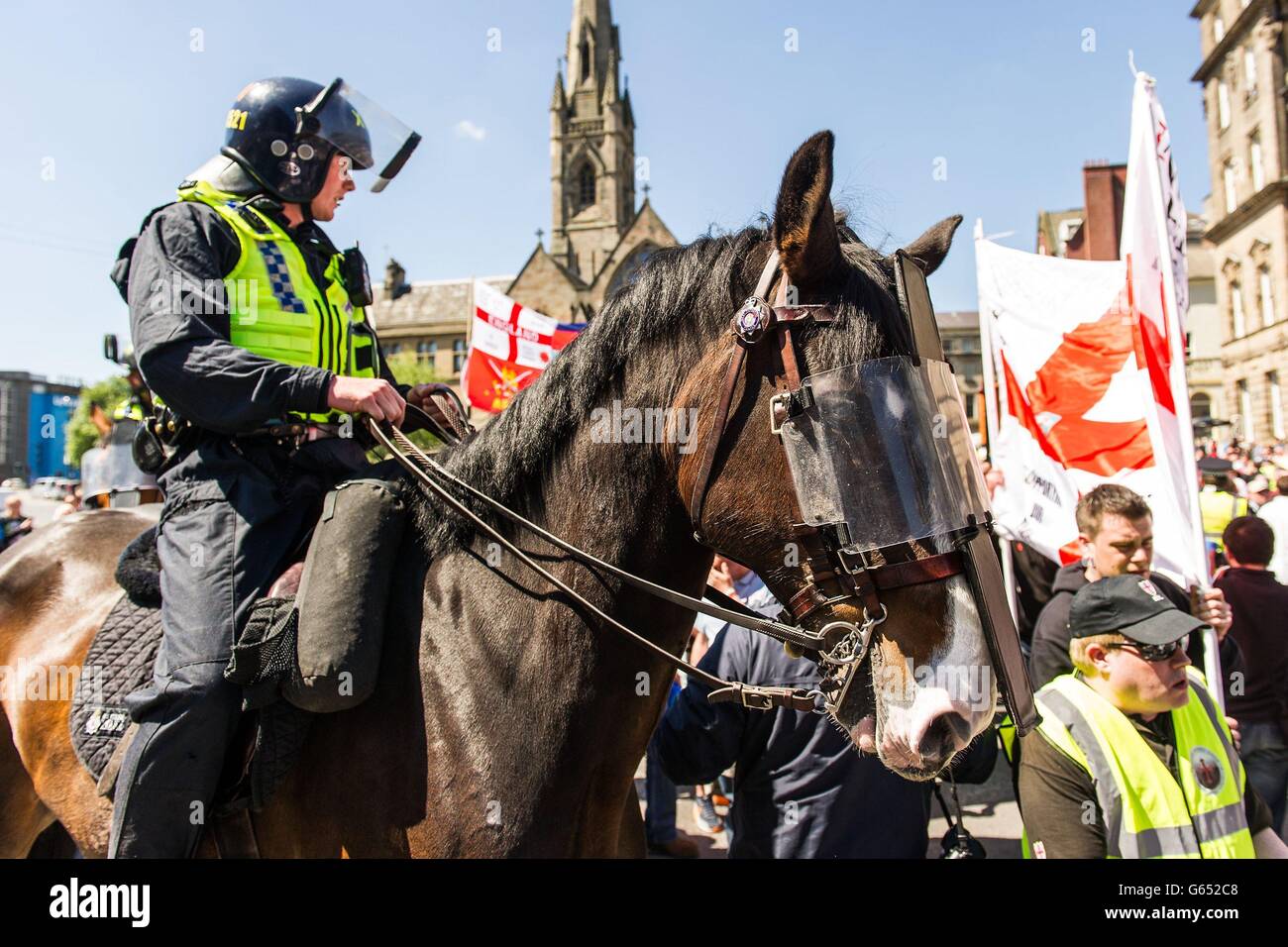 Bud, the police horse who was punched when Newcastle United fans fought ...