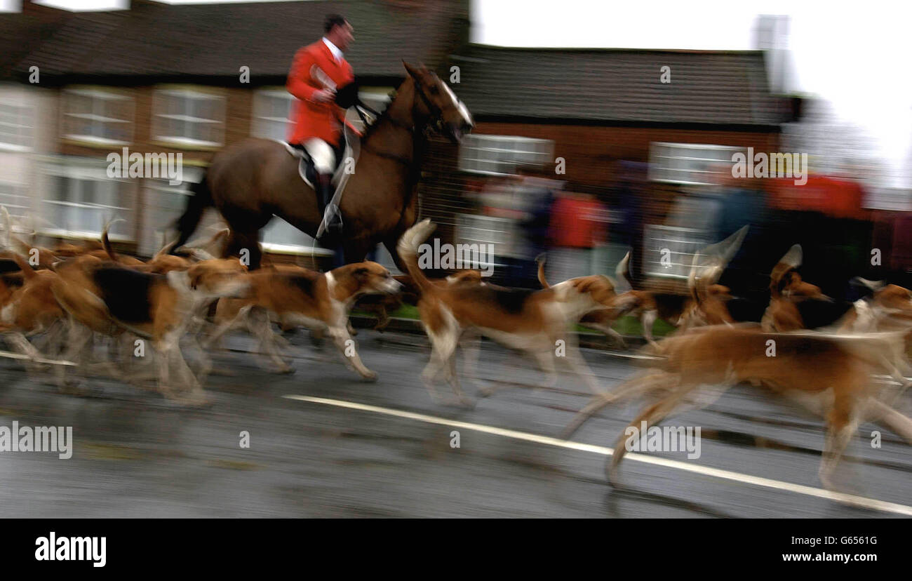 New hunting bill launched hi-res stock photography and images - Alamy