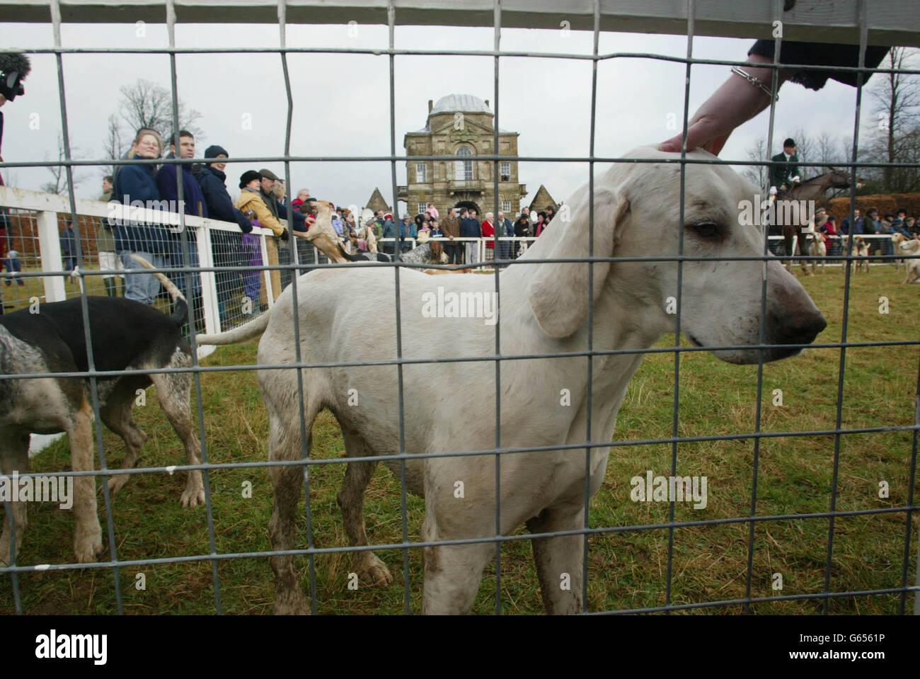 New hunting bill launched hi-res stock photography and images - Alamy