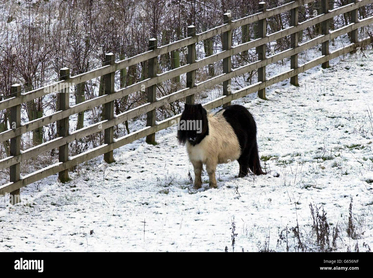 Double creep hi-res stock photography and images - Alamy