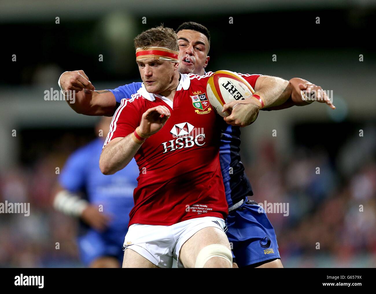 Tuatara morrison hi-res stock photography and images - Alamy