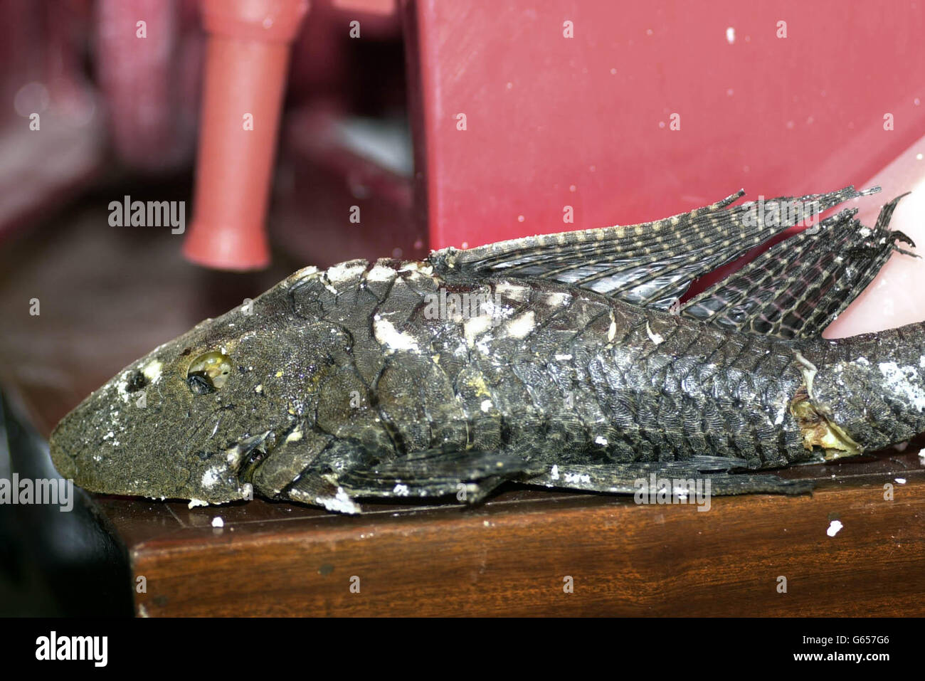 Unit 1 high st hi-res stock photography and images - Alamy