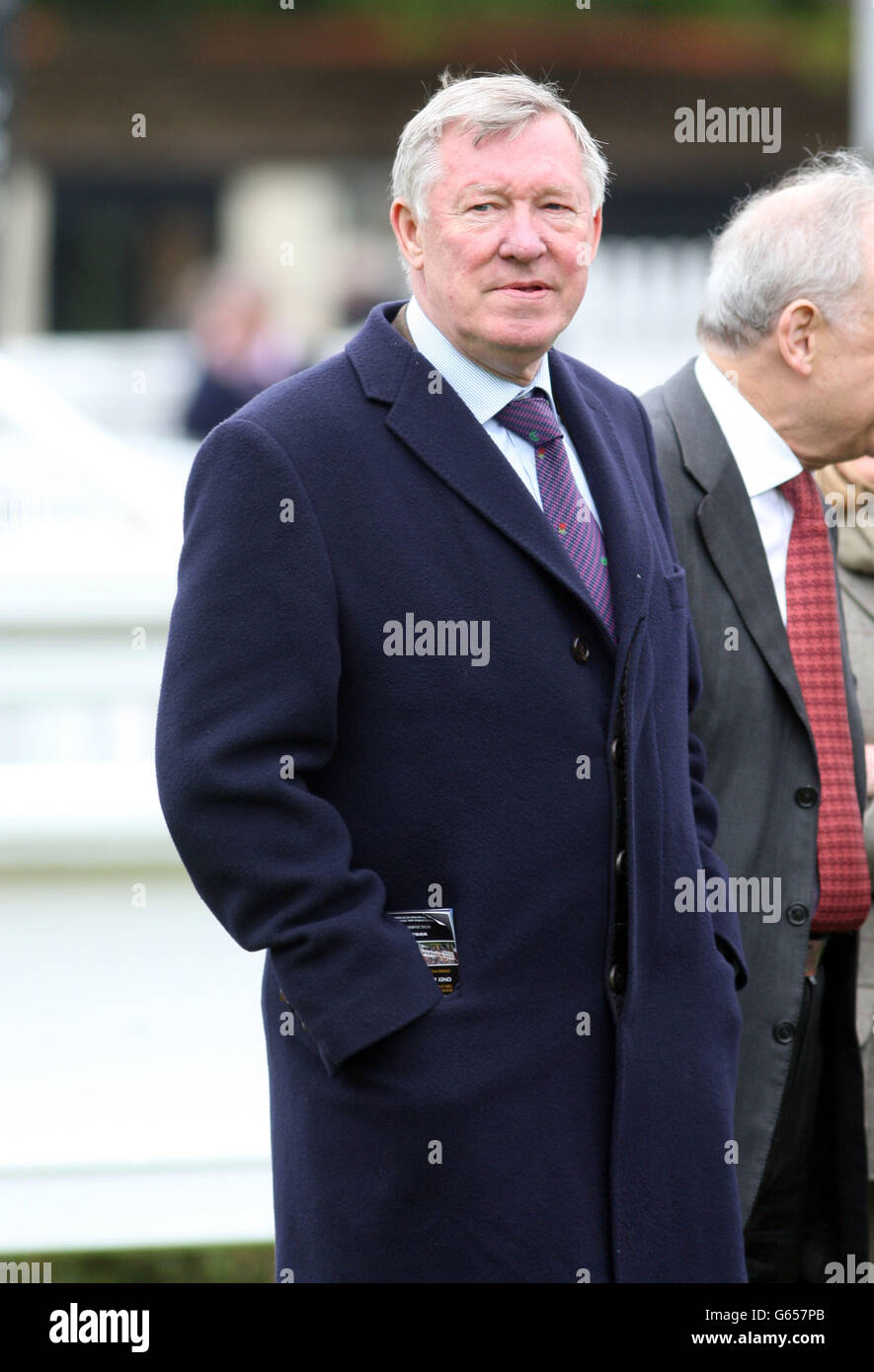 Sir alex ferguson horse hi-res stock photography and images - Alamy