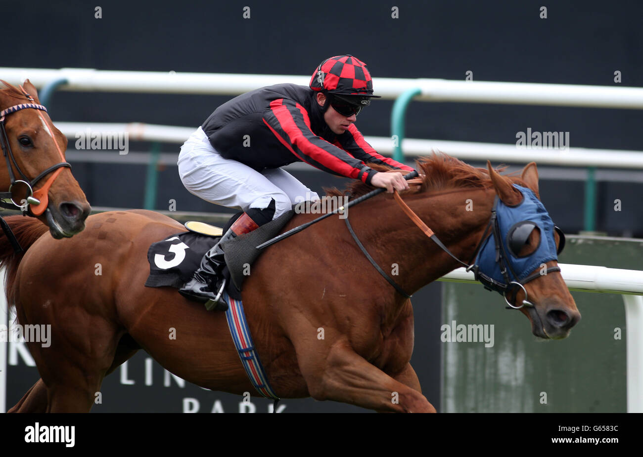 Horse Racing - Lingfield Park Racecourse Stock Photo - Alamy