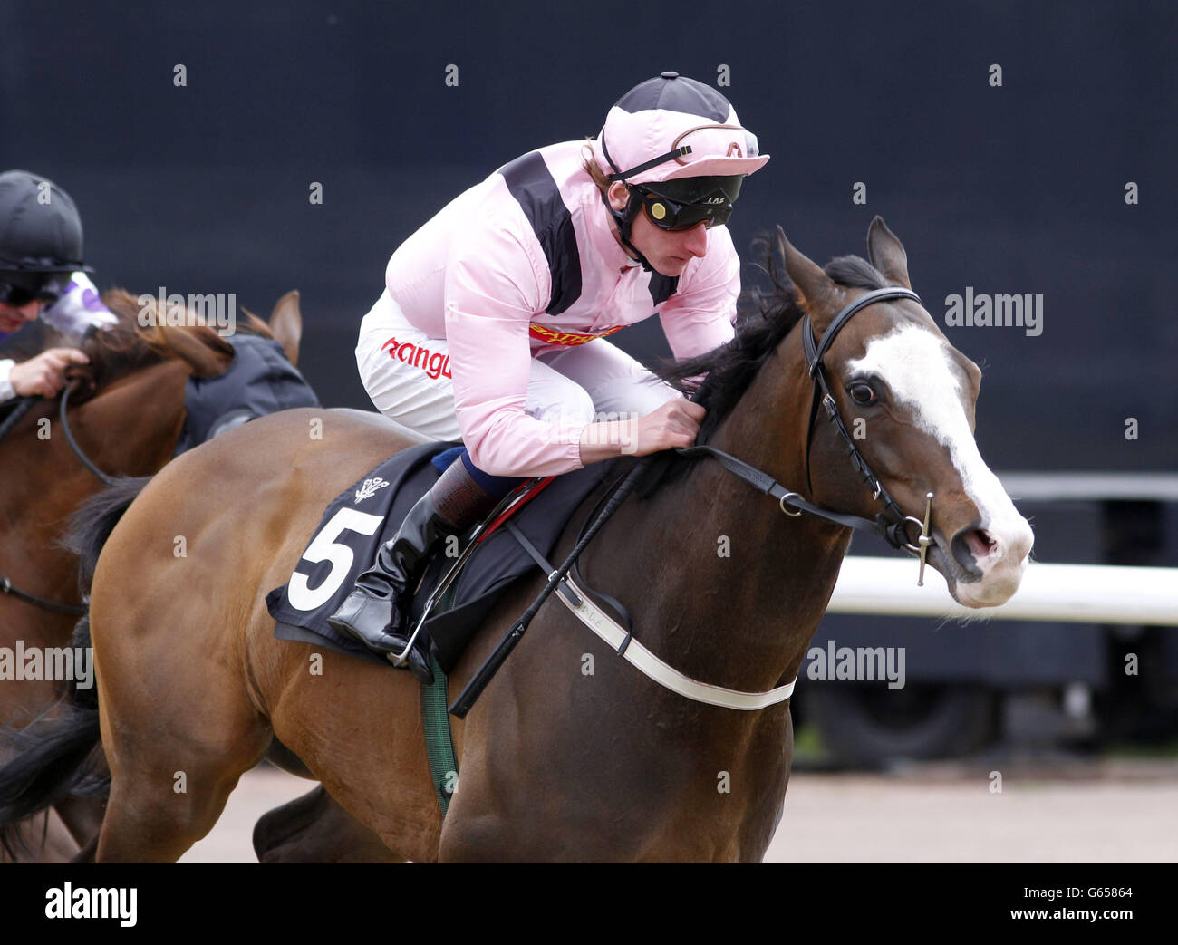 Horse Racing - Lingfield Park Racecourse Stock Photo - Alamy