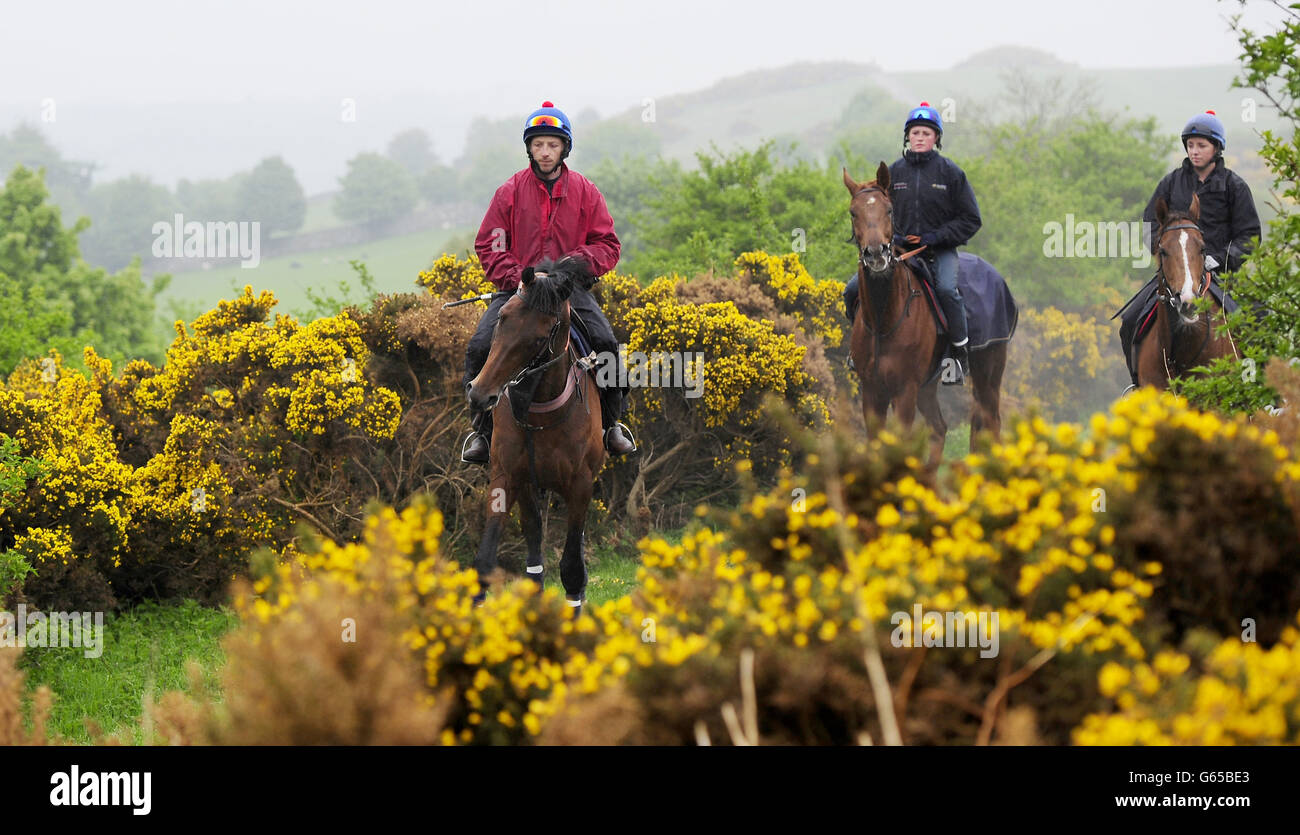 Gallops middleham moor hi-res stock photography and images - Alamy