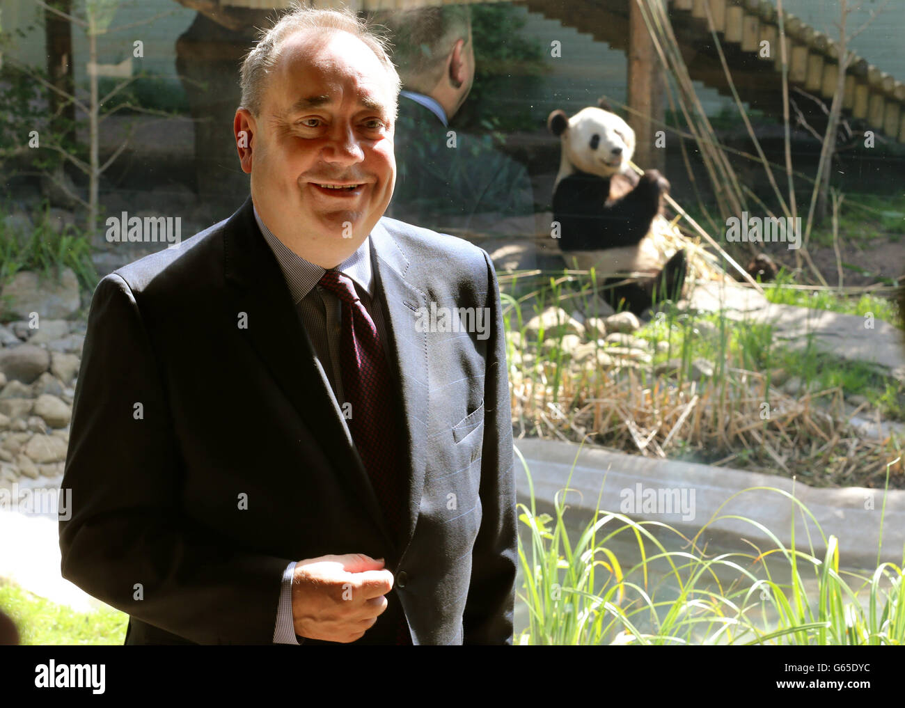 Scotland's First Minister Alex Salmond beside Yang Guang, the male ...