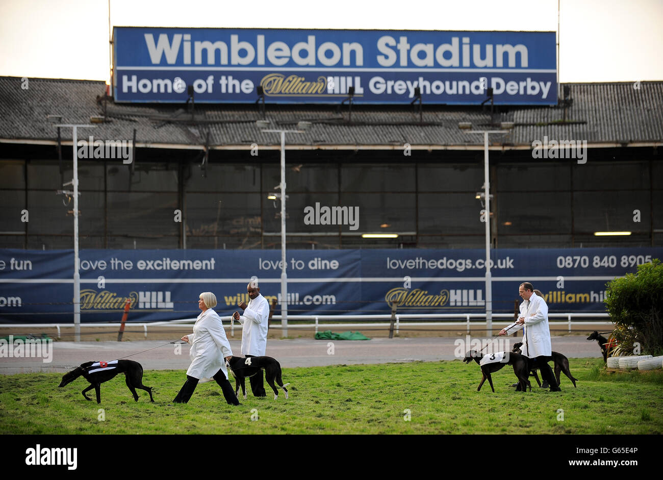 Greyhound Racing - William Hill Derby - Day One - Wimbledon Stadium ...