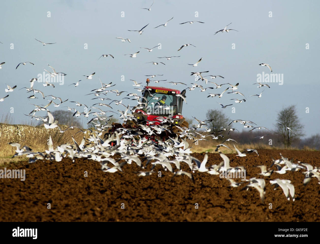 Farmer Ploughing a Field Stock Photo - Alamy