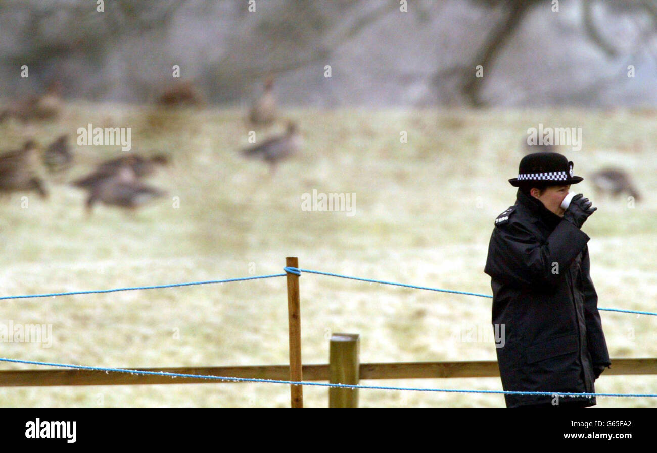 Snow at sandringham estate hi-res stock photography and images - Alamy