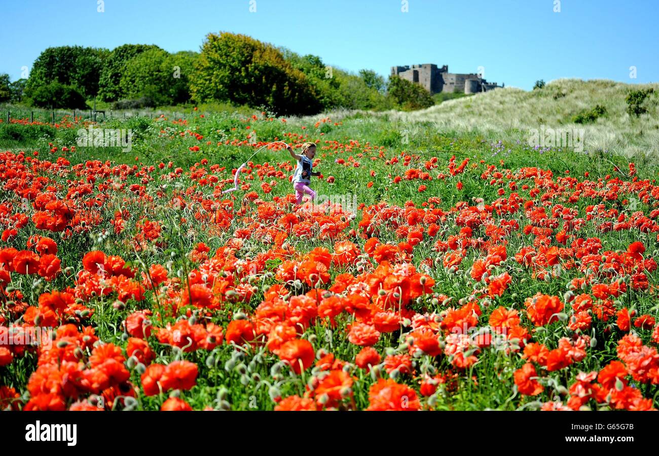 Summer weather - June 8 Stock Photo - Alamy
