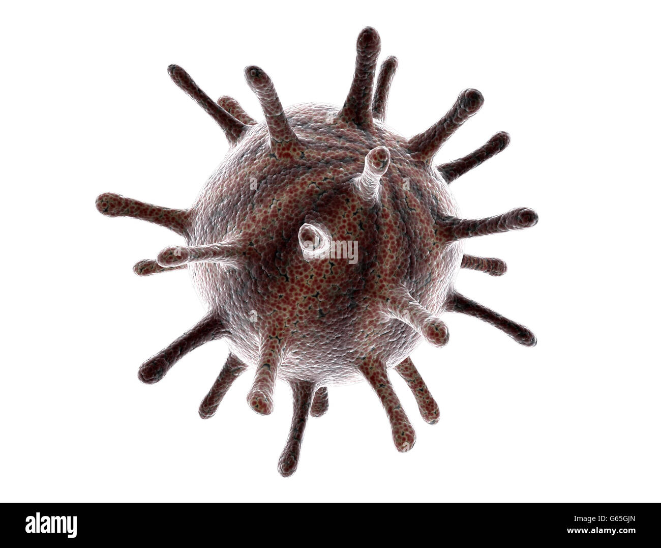 Virus cell hi-res stock photography and images - Alamy