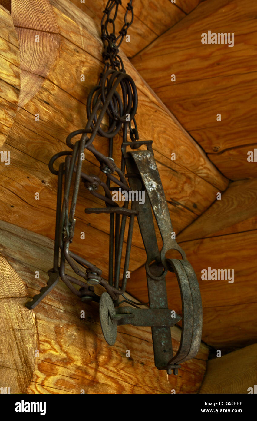 LEG HOLD AND BODY TRAP Stock Photo - Alamy