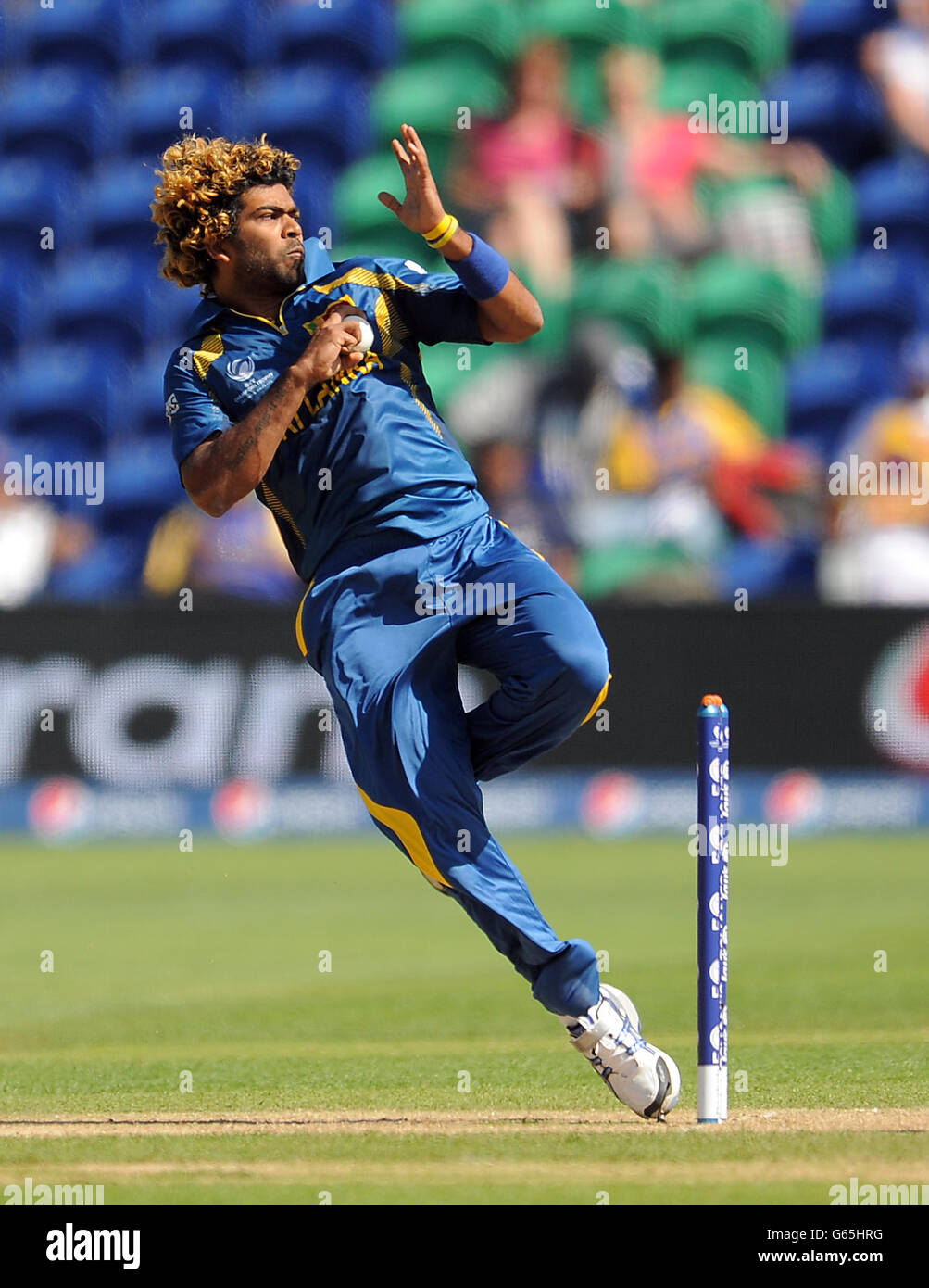 Cricket new zealand ampics hi-res stock photography and images - Alamy