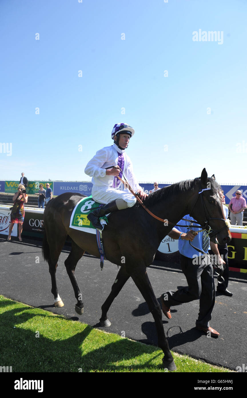 Jockey Kevin Manning celebrates riding Trading Leather to victory in ...