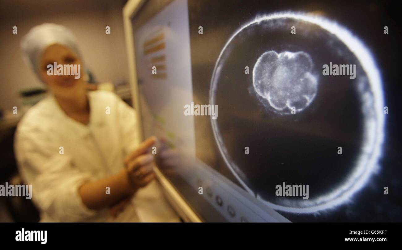 Jude Fleming analyzing an embryo on the Early Embryo Viability ...