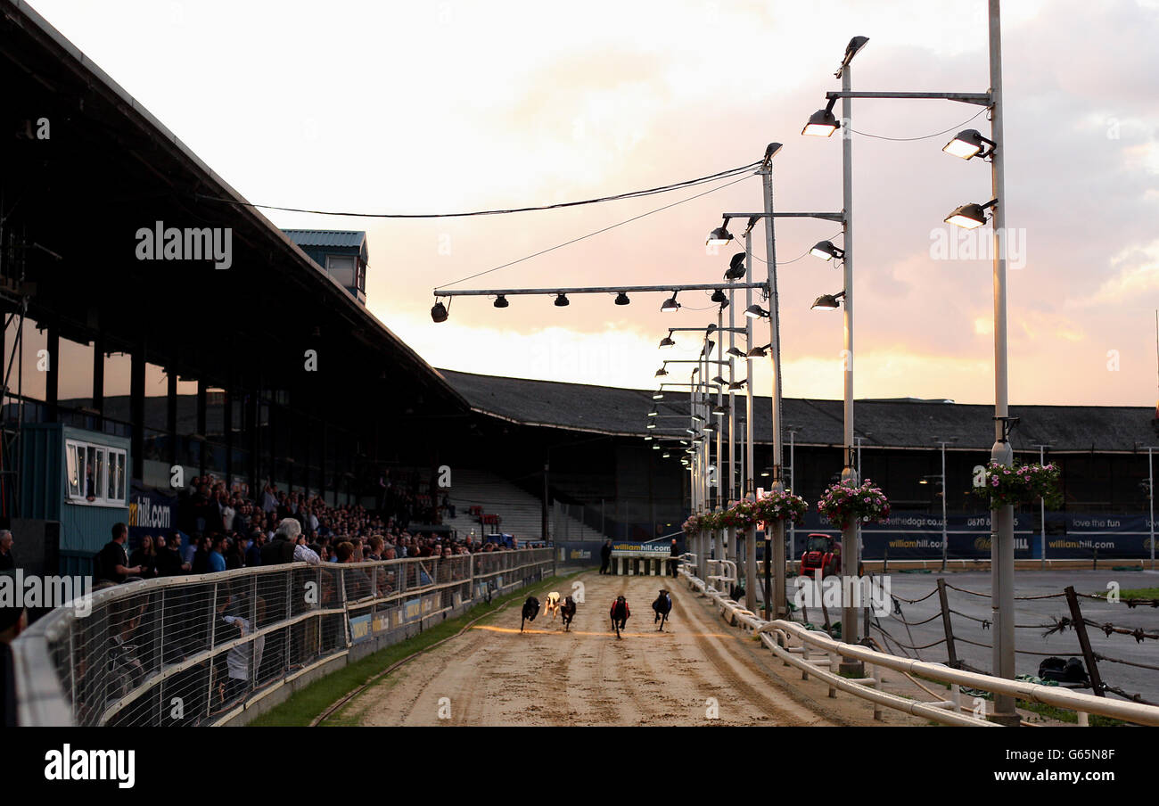 Action on the track at wimbledon greyhound stadium hi-res stock ...