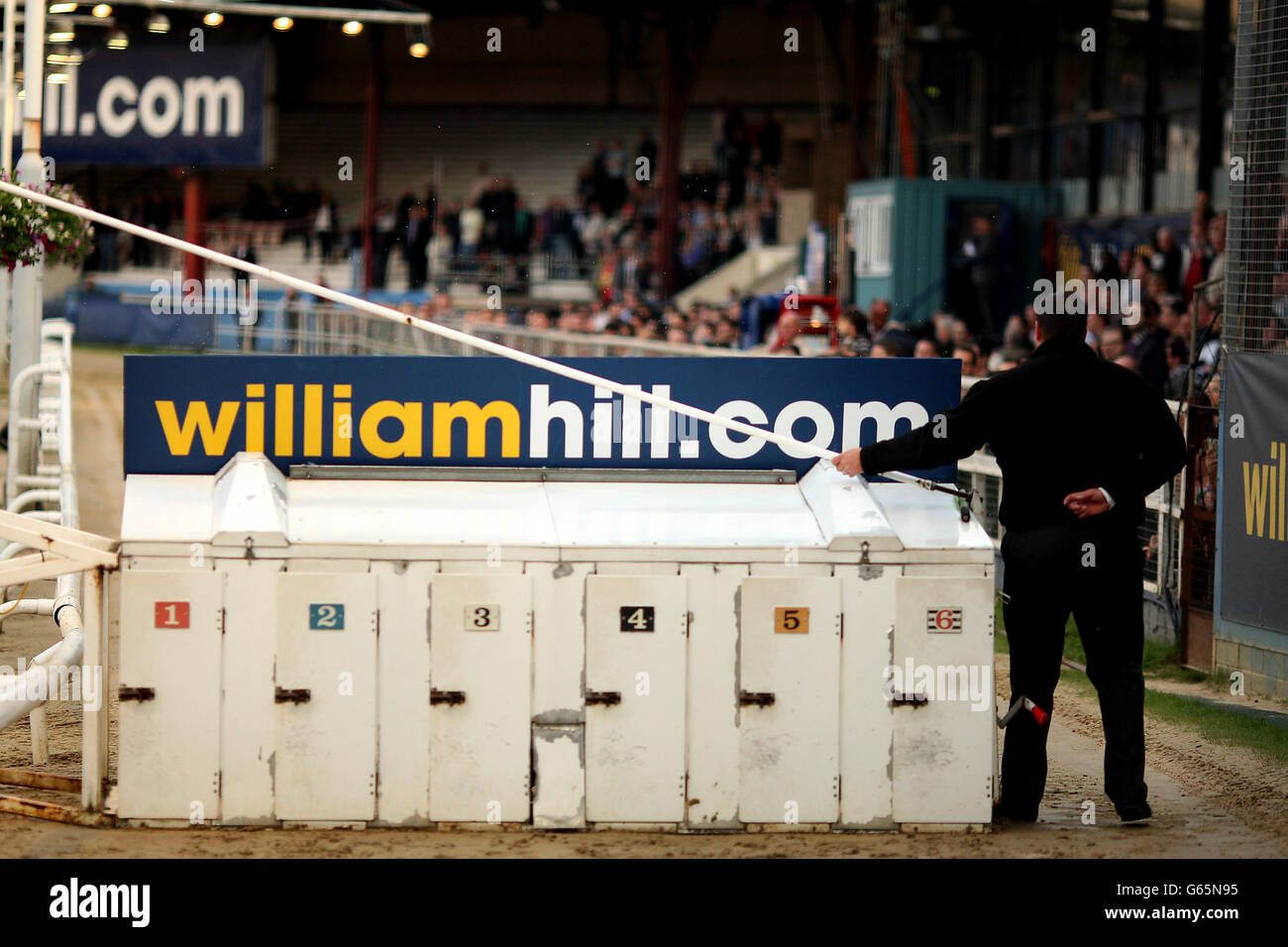 Greyhound Racing - William Hill Derby - Day Two - Wimbledon Stadium ...