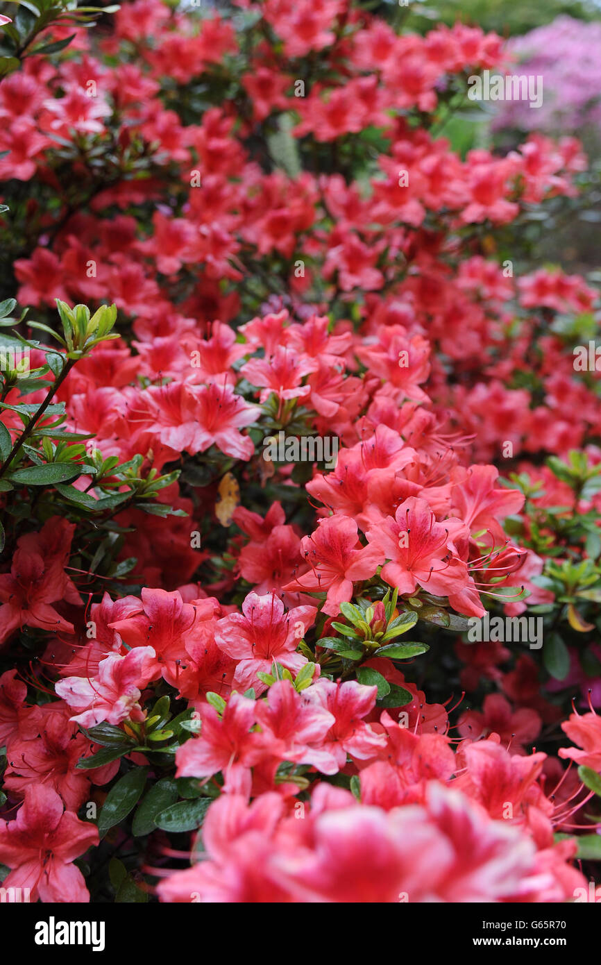 Summer weather June 5 Stock Photo - Alamy