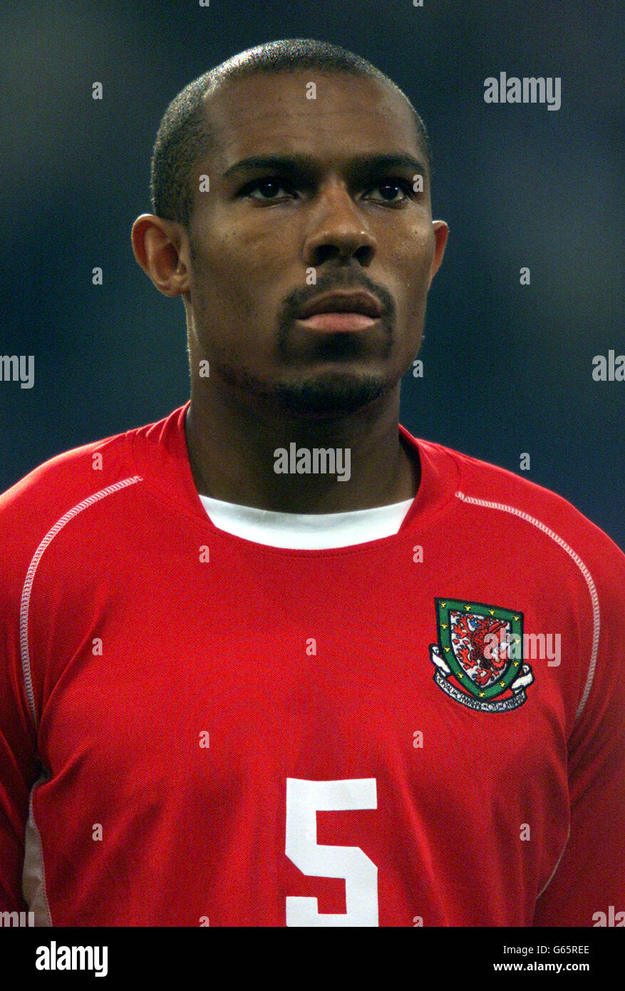 Danny gabbidon wales hi-res stock photography and images - Alamy