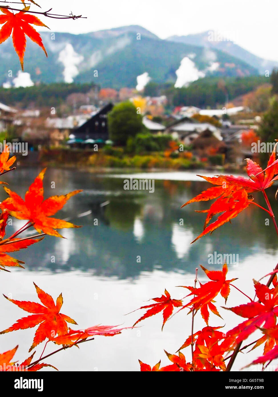 japan autumn tree background - Stock Image Stock Photo - Alamy