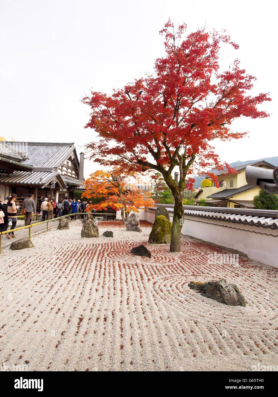 japan autumn tree background - Stock Image Stock Photo - Alamy