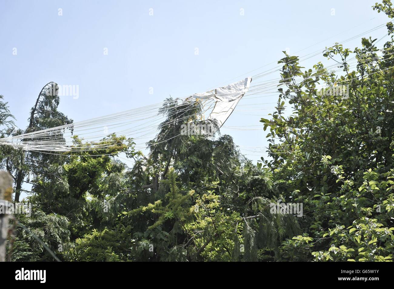 The parachute caught in trees after a Cirrus single-engine aircraft ...