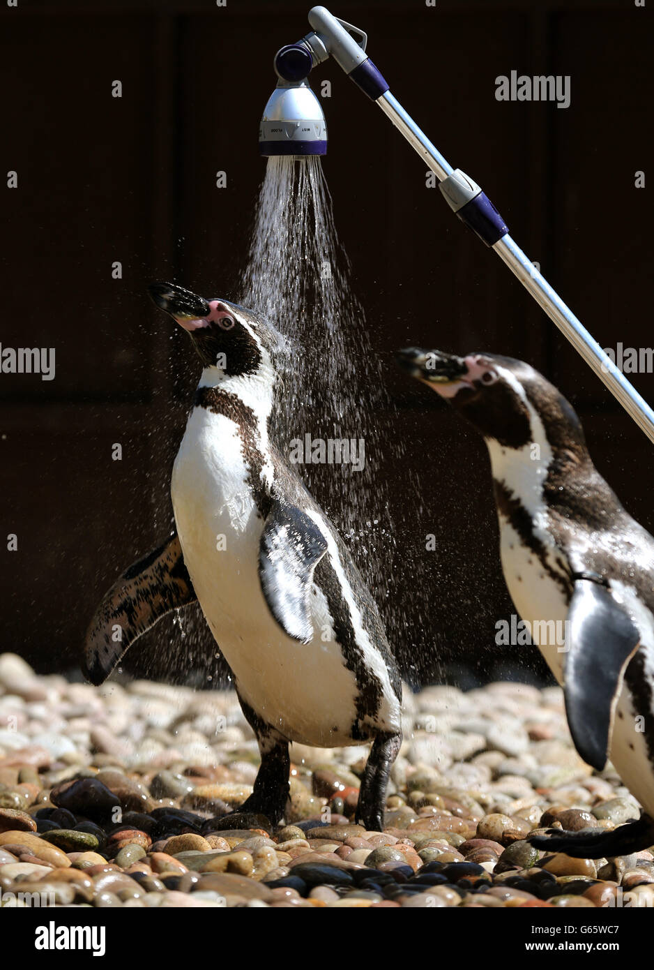 Hot cold weather summer hi-res stock photography and images - Alamy