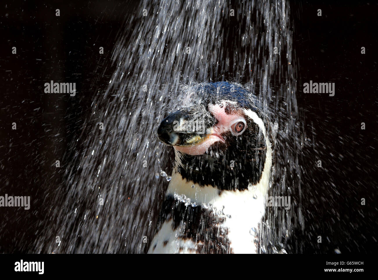 Summer weather June 6 Stock Photo - Alamy