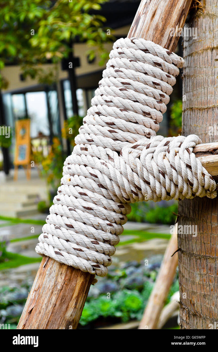 Y shape tree hi-res stock photography and images - Alamy