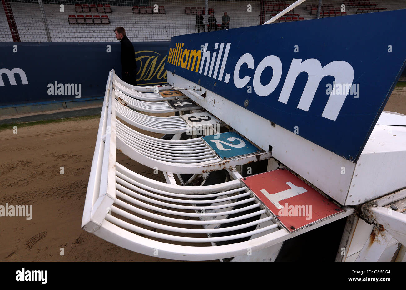 Greyhound Racing - William Hill Derby - Second Round - Day Two ...