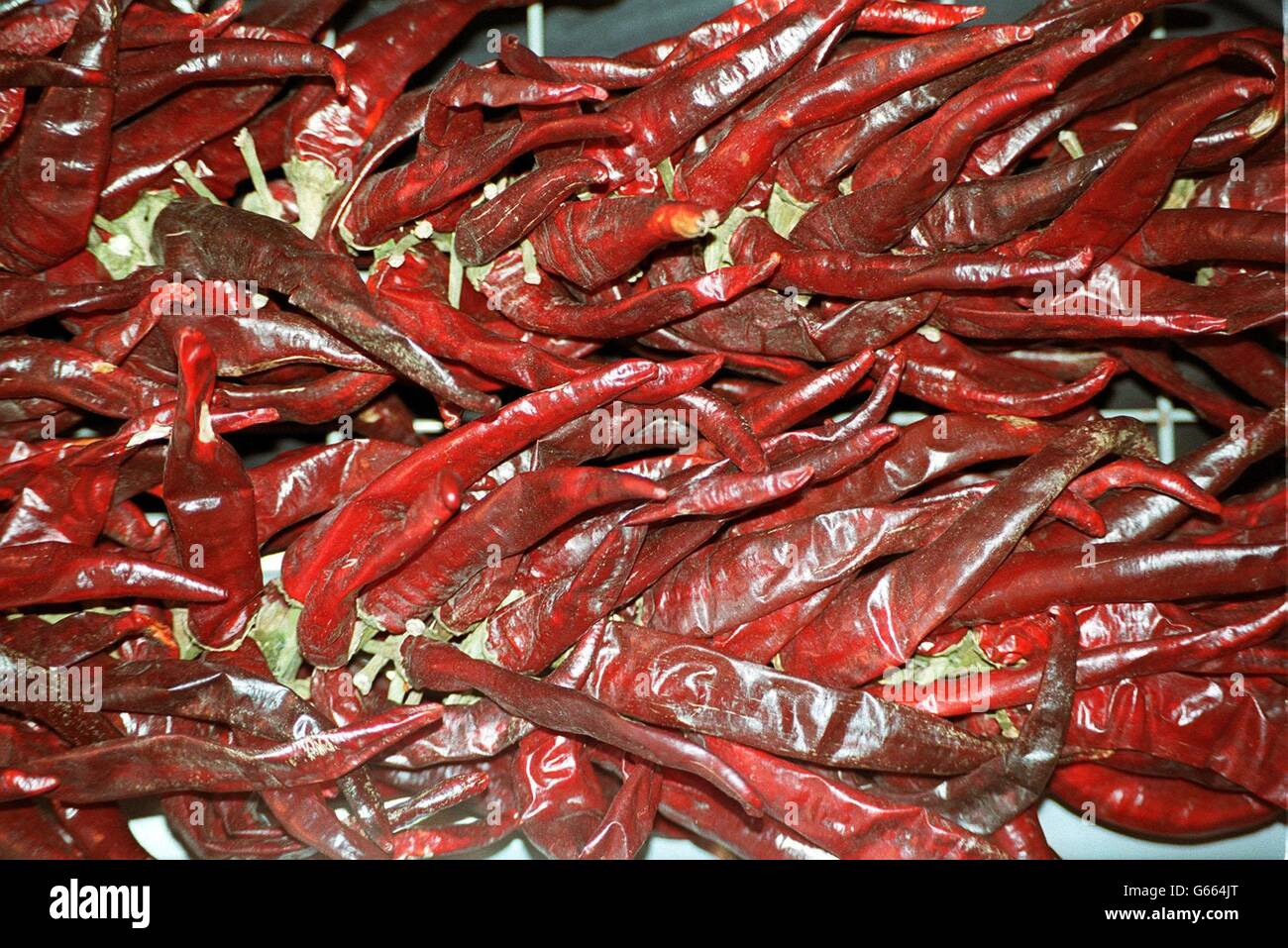 CHILLIES. Borough Market - chillies Stock Photo - Alamy