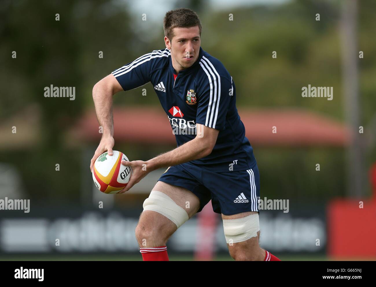 2013 british irish lions tour hi-res stock photography and images - Alamy